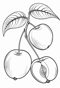 Fun Plum Coloring Activities – Color My Pages